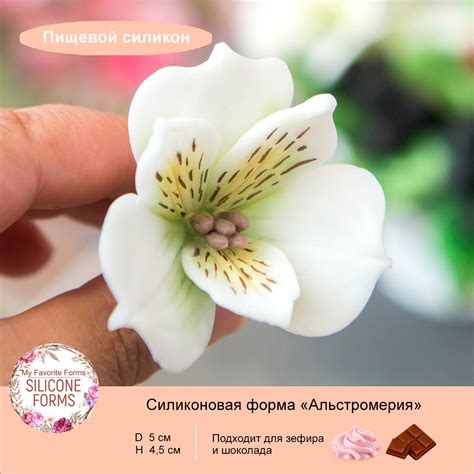 Купить Форма "Альстромерия" (ПИЩЕВОЙ СИЛИКОН) в Железнодорожном с ...