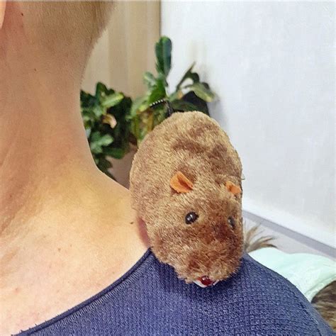 Мышь заводная, мышка меховая для детей, игрушка для кошек - купить с ...