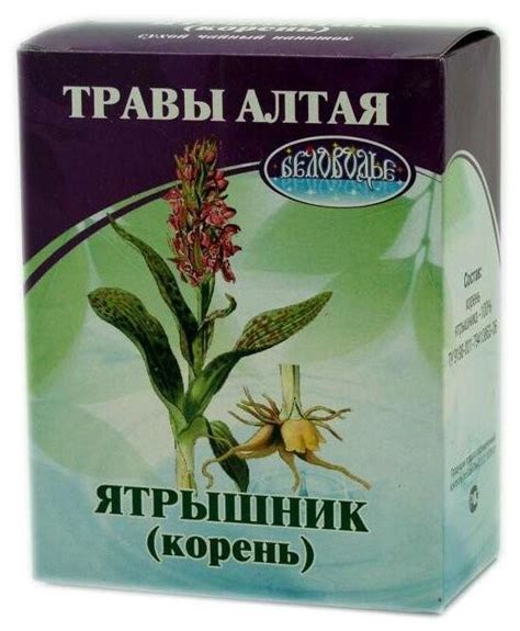 Лечебные свойства ятрышника для мужчин и 12 рецептов применения