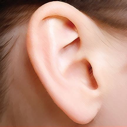 ear | Fox Valley Plastic Surgery, S.C.