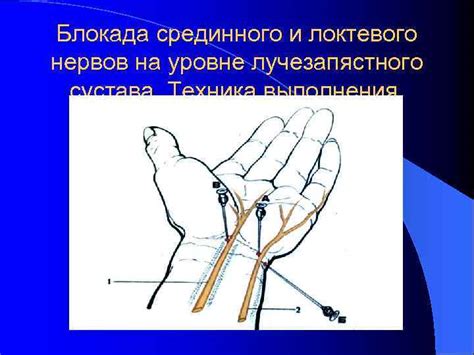 ОБЕЗБОЛИВАНИЕ ПОСЛЕ ТРАВМ И ОПЕРАЦИЙ Сергей Семёнович Копёнкин