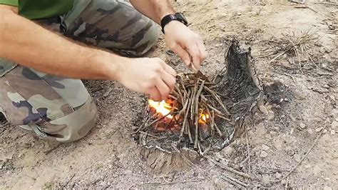 Как удалить пень дешево и эффективно