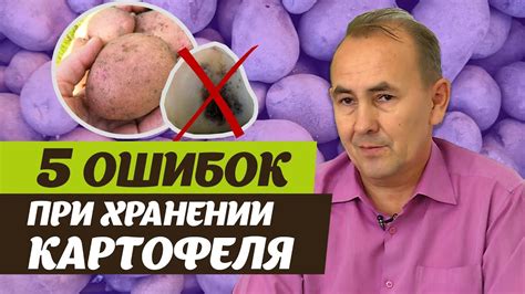 Как правильно хранить картофель. Советы специалиста - YouTube