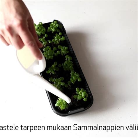 Biolan - Luo vihreämpää maailmaa - Biolan Oy