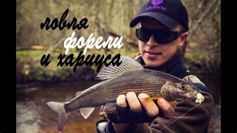 Ловля форели и хариуса. Реки Литвы часть 2. - YouTube
