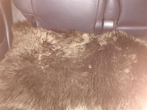Зима на подходе)) — Mitsubishi Outlander XL, 3 л, 2011 года ...