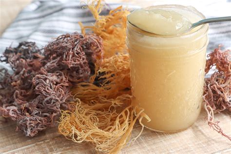 9 Amazing Sea Moss Gel Nutrition Facts You Must Know