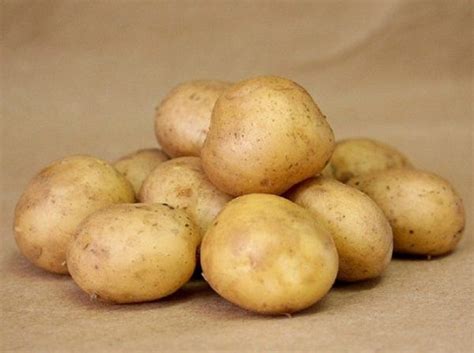 Ziemniaki galowe: charakterystyka i opis odmiany Potatoes, Vegetables ...