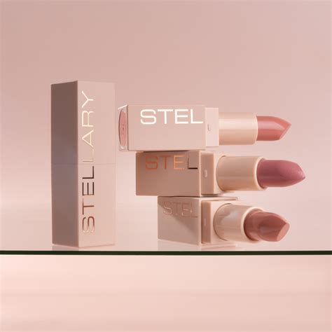 Помада для губ `STELLARY` LONG LASTING LIPSTICK устойчивая тон 02 ...