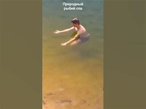 рыбный СПА - YouTube