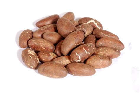 Bitter Kola,Nigeria price supplier - 21food