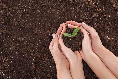 Change of heart needed - Daily Prayer