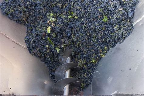 Kindzmarauli Winery - Georgia - Blog about interesting places