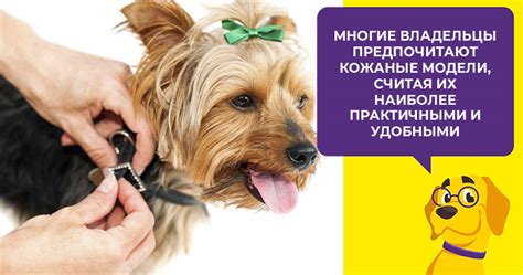 Выбираем ошейник и поводок для йорка