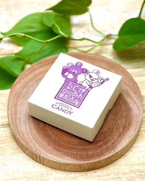 【DCTgarden IKEDA】山幸キャンディ（DCTgarden IKEDA BOX）販売開始 - DREAMS COME TRUE