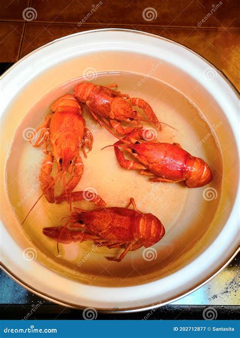 Red Lobsters in a Pot of Boiling Water Cooling Off on a Wooden Cutting Board after Being Cooked ...