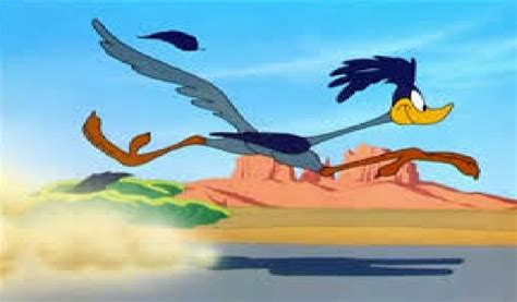 pearlsofprofundity | Looney tunes, Fotoğraf, Çizgi film