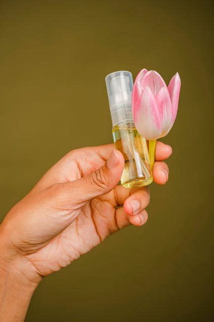 Top 5 Best Natural Supplement To Balance Female Hormones 2024 - Pixelfy ...