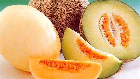 Восхитительная, вкуснейшая дыня: где и как она применяется? | Полезные ...
