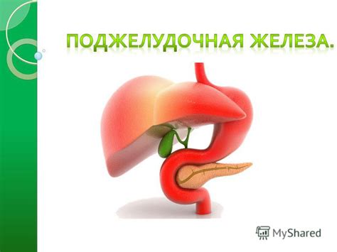 Презентация на тему: "Поджелудочная железа.". Скачать бесплатно и без ...
