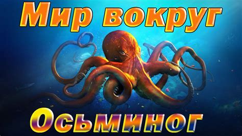 Осьминог каннибал напал на другого осьминога - YouTube