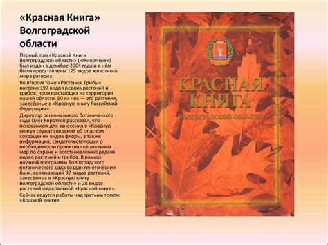 Экология Волгограда - online presentation