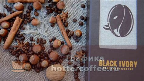 Какой кофе самый дорогой? Обзор самых дорогих сортов кофе в мире