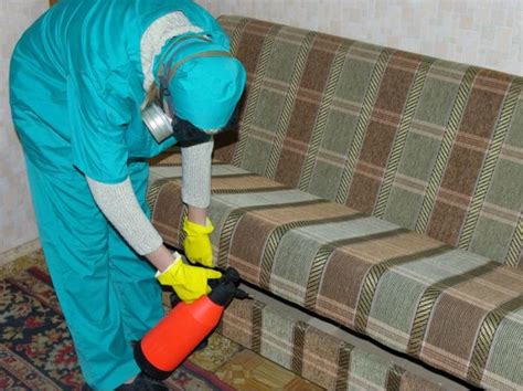 Средства от клопа: жидкие, твердые, газообразные