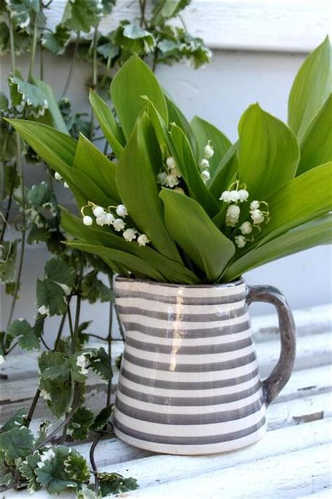 The Little Corner: Photo