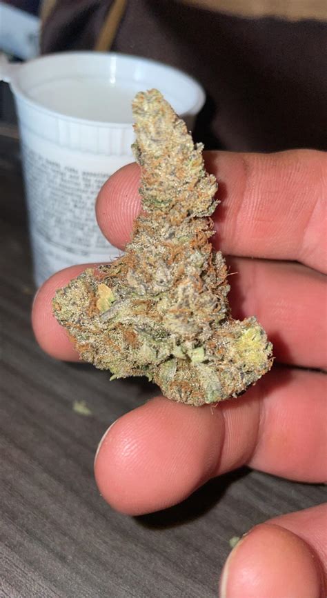 Check out this nug of svog. Great structure on this batch : r ...