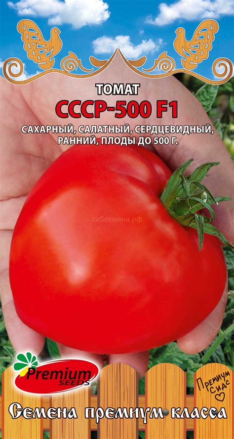 ТОМАТЫ — Семена для Сибири