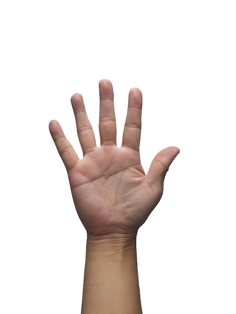 Premium AI Image | five fingers