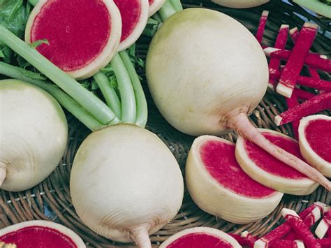 Арбузный редис (Raphanus sativus)