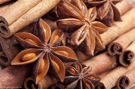 Organic Star Anise Facts : Surprising Truths You Didn't Know