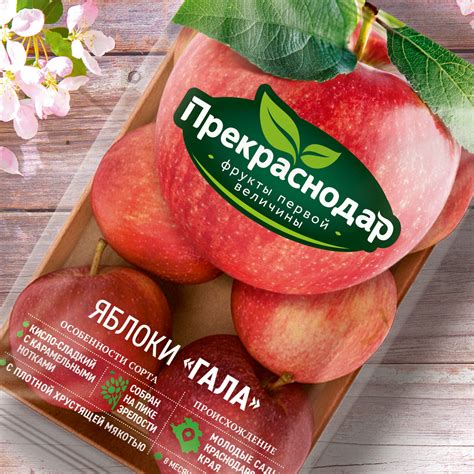 Портфолио