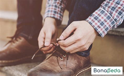 Case Study 2: Bonapeda - Zeweb Media