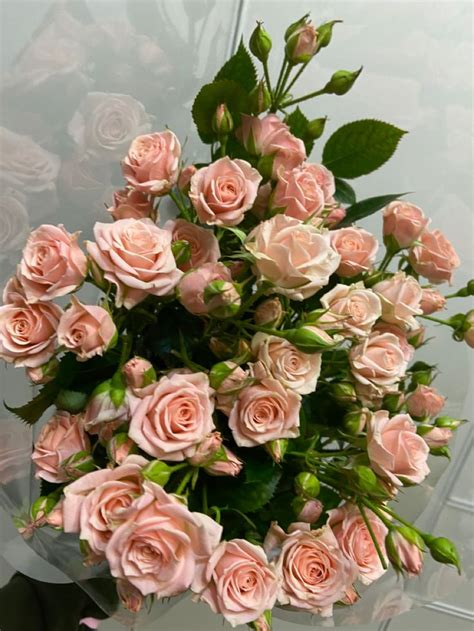 flowers | Букет из роз, Красивые цветы, Цветы