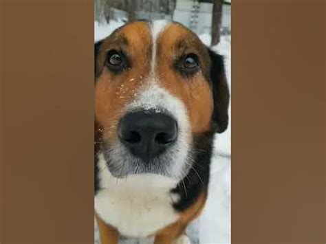 эстетика майка моряка)))))🐾🐾🐾🐾🐶🐶🐶🐶🐶 - YouTube