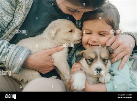 Puppies Cuddling Baby