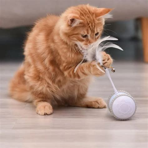 игрушки для котят,дразнилка для кошек,серый - купить с доставкой по ...
