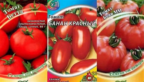 Ультраскороспелые сорта томатов для теплиц и открытого грунта: описание ...