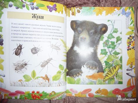 Книга: Чудо-наклейки. Кто живет в лесу - Морис Пледжер. Купить книгу ...