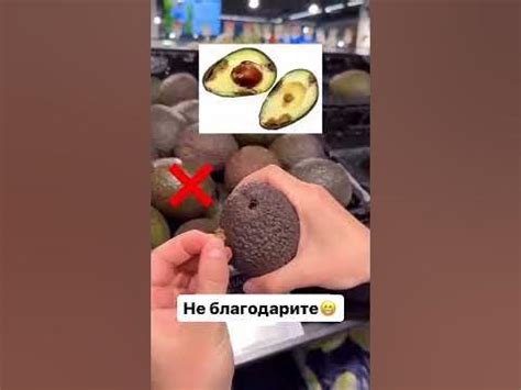Как правильно выбирать авокадо 🥑 Не забудьте подписаться на наш канал ...