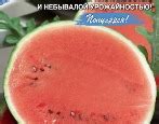 Сорта арбузов — список по алфавиту