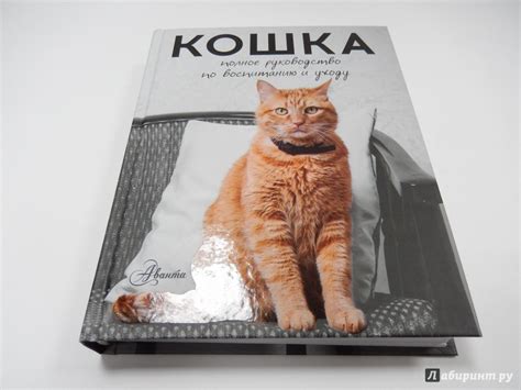 Книга: Кошка. Полное руководство по воспитанию и уходу - Николай ...