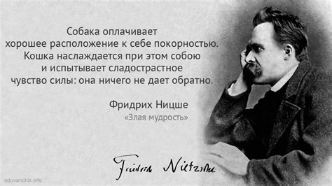 Фридрих Ницше. Злая мудрость :: цитата (64)