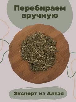 Альфредия поникшая