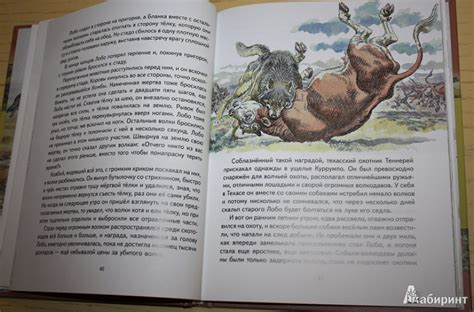 Иллюстрация 17 из 27 для Лобо - Эрнест Сетон-Томпсон | Лабиринт - книги ...