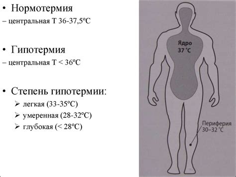 Терморегуляция организма - презентация онлайн
