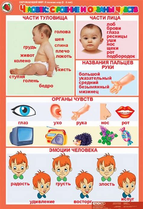 Обучающие карточки для детей с 3 до 6 лет